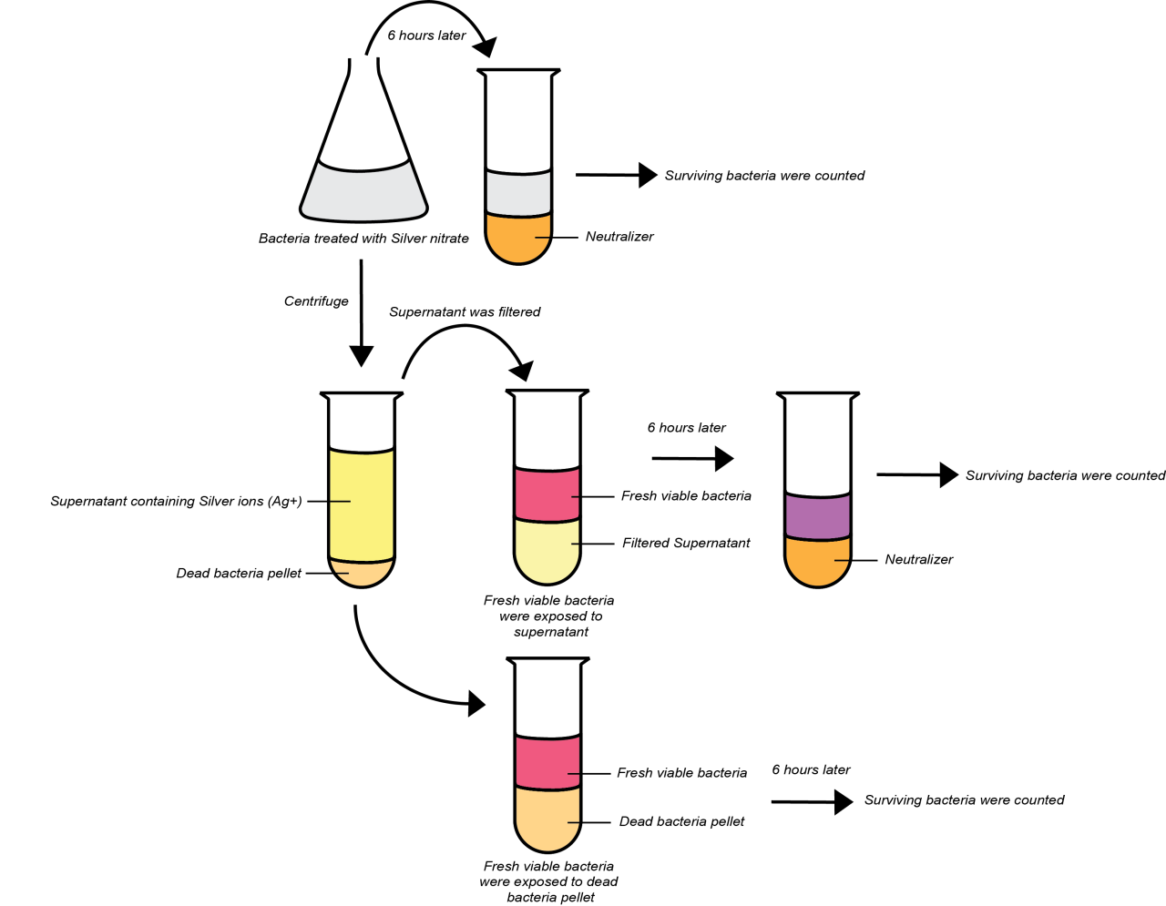The Dawn of Zombie Bacteria | Tecolab
