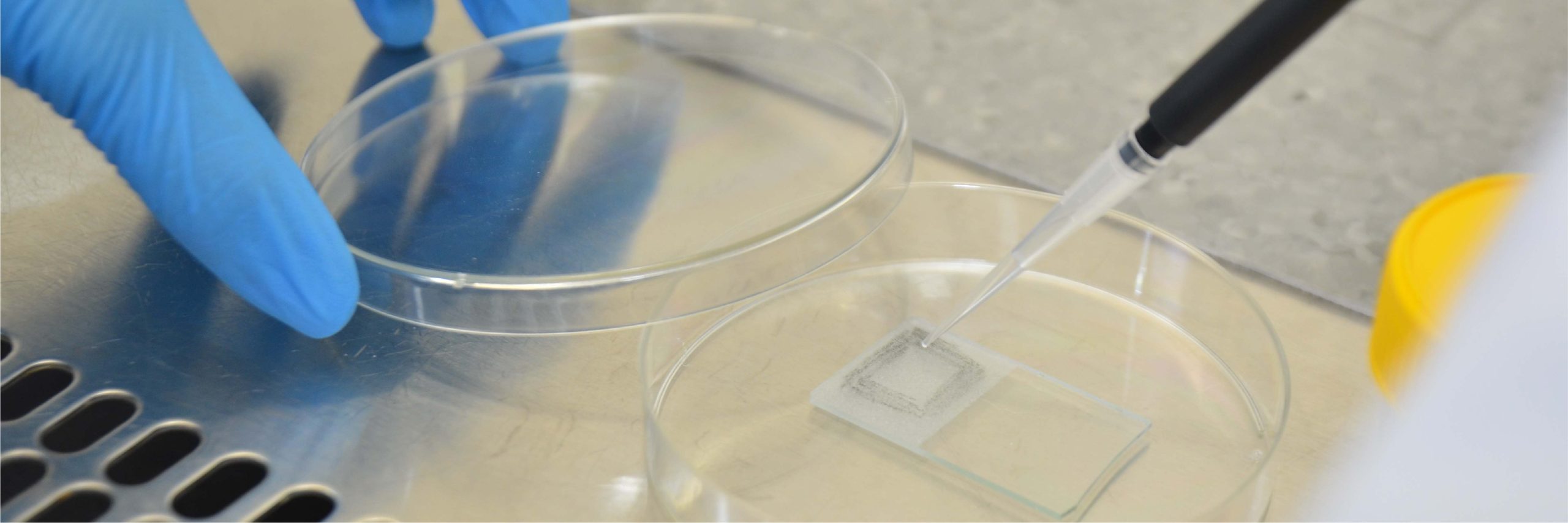 Strategies in Passing Efficacy Tests | TECOLAB