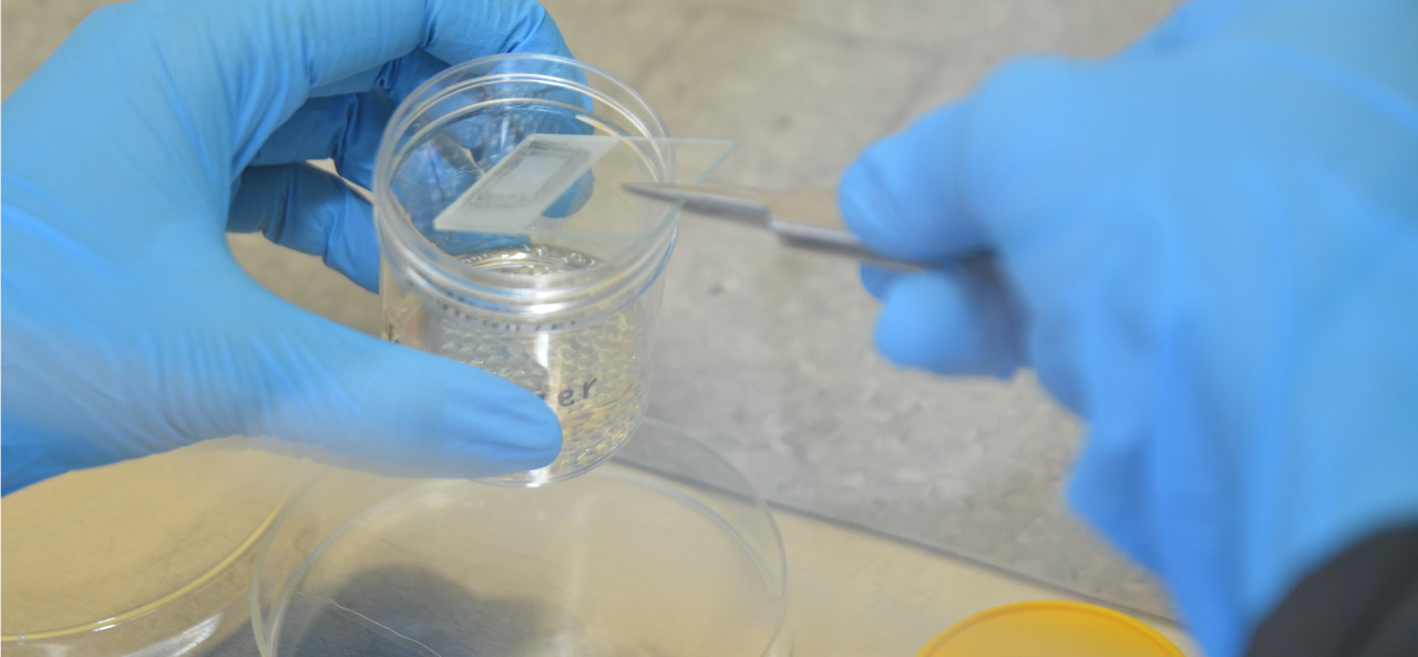 TGA Guidelines | TECOLAB