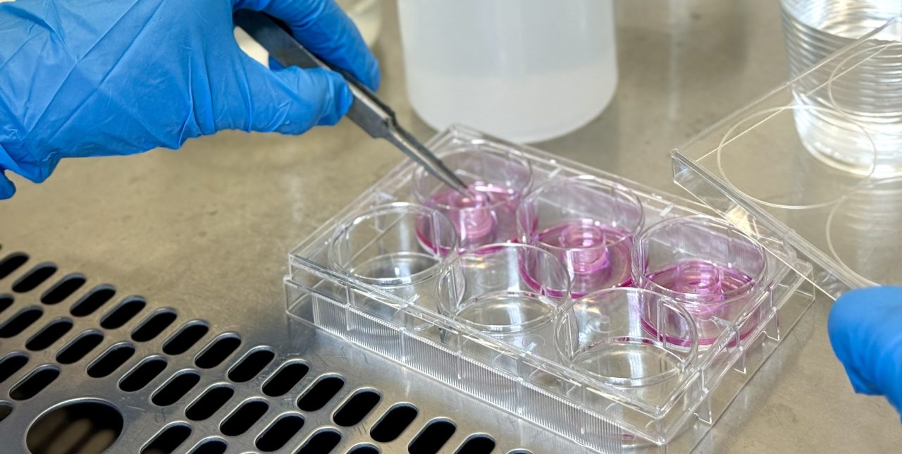 Biocompatibility Test & Toxicology Test | TECOLAB