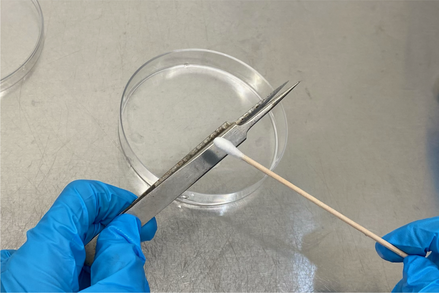 Disinfectant, Sanitizer, and Antiseptic Testing | Tecolab